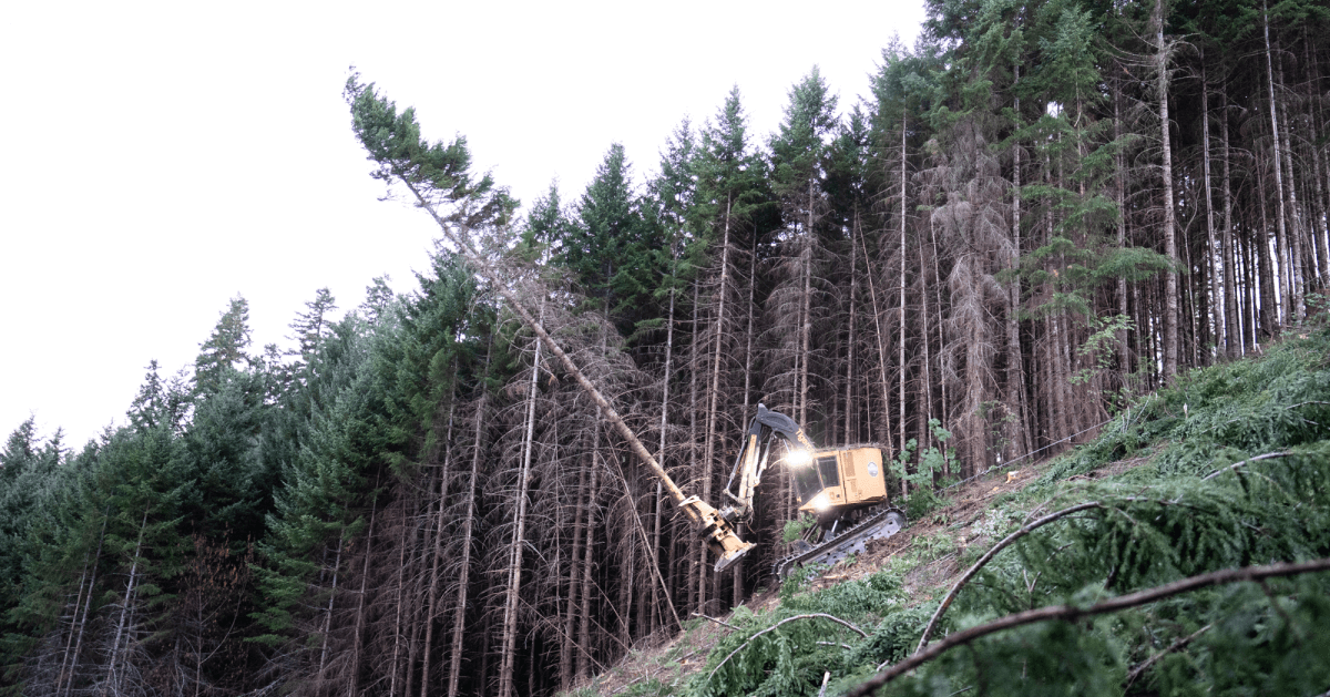 Day 17 — PNW Logging